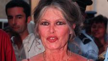 Brigitte Bardot, son mari Bernard d’Ormale reprend le flambeau après sa ...