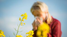 Pollens : pourquoi vous ne trouverez plus les cartes de risques ...