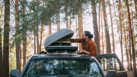 Queue de poisson en voiture : que dit la loi