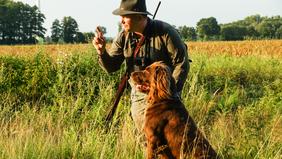 Nouvelle hausse des prix du permis de chasse en 2026