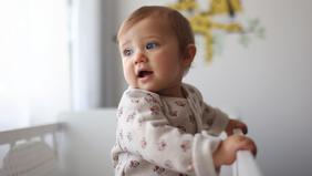 Prénom Meline, féminin, grec, original : signification