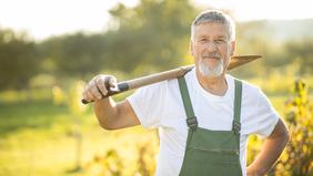 Comment créer une haie sèche ou haie de Benjes