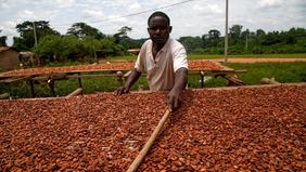 Inflation : pourquoi le prix du chocolat s’est-il envolé cette année