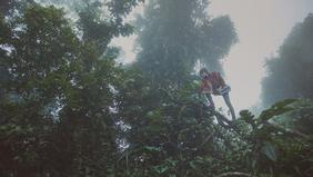 Interview créatrice - Laura Gauthier, fondatrice de Fête Impériale ...