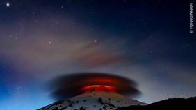 Le diable cornu (ou moloche) : un incroyable reptile australien