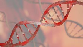 Le nombre de morts dus au cancer devrait fortement s’alourdir d’ici à 2050