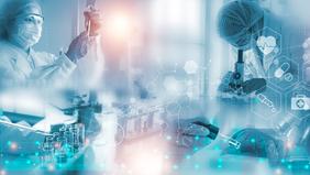 Yasmine Belkaid, nouvelle directrice de l’Institut Pasteur: «La science ...