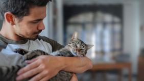 Chat calico ou chat isabelle : quelles différences