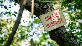 Nouvelle hausse des prix du permis de chasse en 2026