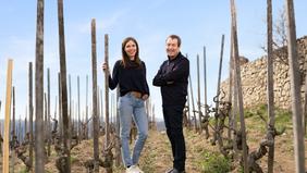 Qu'est-ce que le Xérès, ce grand vin si sous-côté