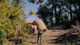 «Rien n’était acquis» : Samantha Mane remplace son père à la présidence ...