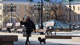 «Onepoint sort renforcé d’Atos»: après l’échec de son plan de reprise ...