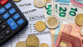 Priocharax rex : cette nouvelle espèce découverte en Amazonie possède ...