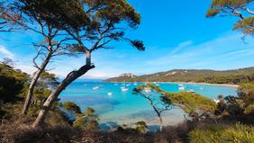 Sécurité nationale : Nicolas Roche, ambassadeur de France en Iran ...