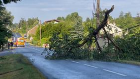 Gros grêlons, toit effondré, rafales : les images des violents orages dans l’est de la France