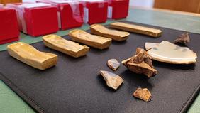 Richard Paschal: «Chagall était trop âgé pour peindre lui-même»