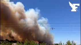 Qui est Matthieu Stefani, l’homme qui reçoit Emmanuel Macron dans son ...