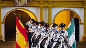 Sam hall feu scandal porn she is a bit on the plus side yet