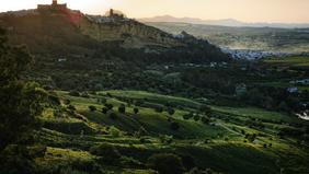 Sam hall feu scandal porn she is a bit on the plus side yet