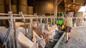 Ricol Lasteyrie se marie avec l’américain Analysis Group