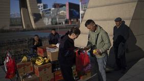 Le cerf Maral : colosse méconnu des montagnes d’Asie centrale