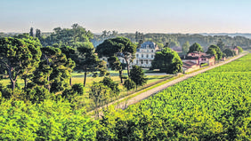 Qu'est-ce que le Xérès, ce grand vin si sous-côté