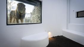 Le premier zoo sans animaux d’Europe va ouvrir ses portes le 9 septembre