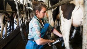 De PWC à sa ferme du Lauragais : Céline Imart, une agricultrice «fière ...