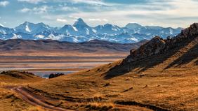 Le cerf Maral : colosse méconnu des montagnes d’Asie centrale