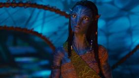 « Je trouve cela horrible » : James Cameron milite pour interdire les ...