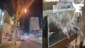 Qui est Halima Ben Ali, la très discrète fille de l’ancien président tunisien, arrêtée en France