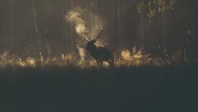Au Théâtre de Poche, Sylvain Tesson et ses stacks en stock