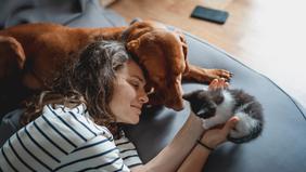 Faire empailler un animal de compagnie, est-ce légal