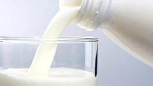 Lait : valeurs nutritionnelles, composition et caractéristiques