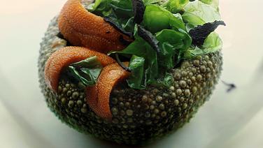 Pousse d'épinard recettes traditionnelles : sublimez vos plats