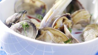 Palourde recettes traditionnelles : sublimez vos plats