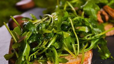 Marron recettes traditionnelles : sublimez vos plats