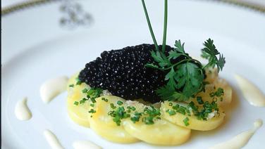 Recettes du chef Eric Frechon : ses meilleurs menus