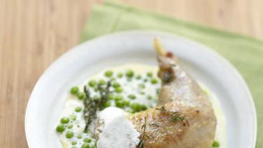 Recettes Recettes à base de volaille : Plat faciles et rapides