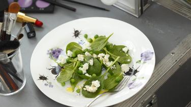 Pousse d'épinard recettes traditionnelles : sublimez vos plats