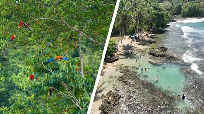 Eaux d’un bleu insolent, animaux exotiques, nature exubérante : au ...