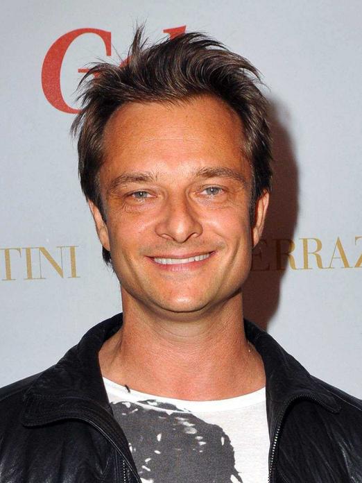 David Hallyday : Biographie et actualités