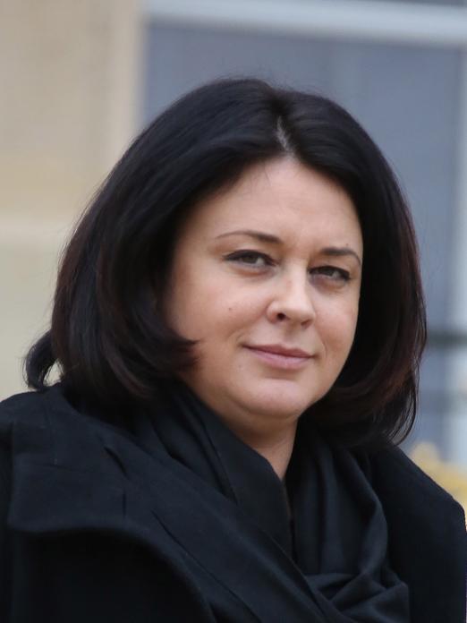 Sylvia Pinel : Biographie et actualités