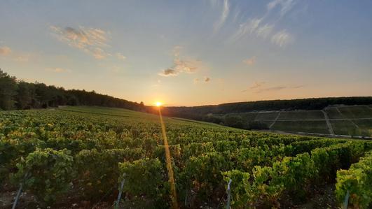 Grand Est : le guide de voyage du Figaro