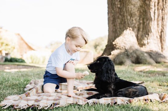 Kate Middleton et William installés à Forest Lodge : certains membres ...
