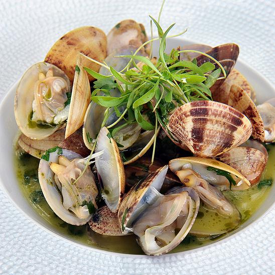 Palourde recettes traditionnelles : sublimez vos plats
