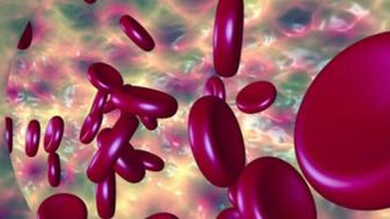 Hémoglobine glyquée (HbA1c) : qu’est-ce que c’est