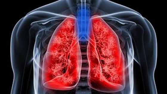 Qu'est-ce que le thymus et quelle est sa fonction