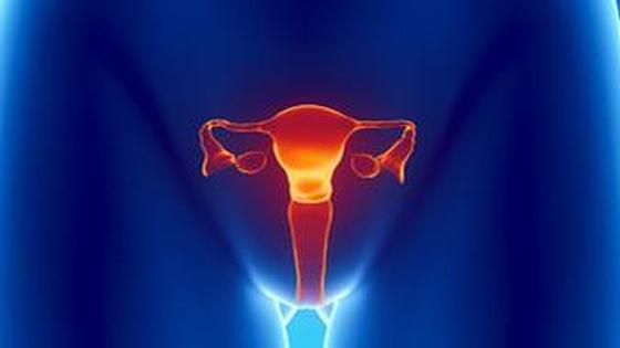 Leucorrhées : tout comprendre sur les pertes vaginales
