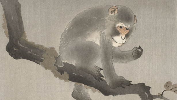 «Payer en monnaie de singe» : que veut dire cette expression